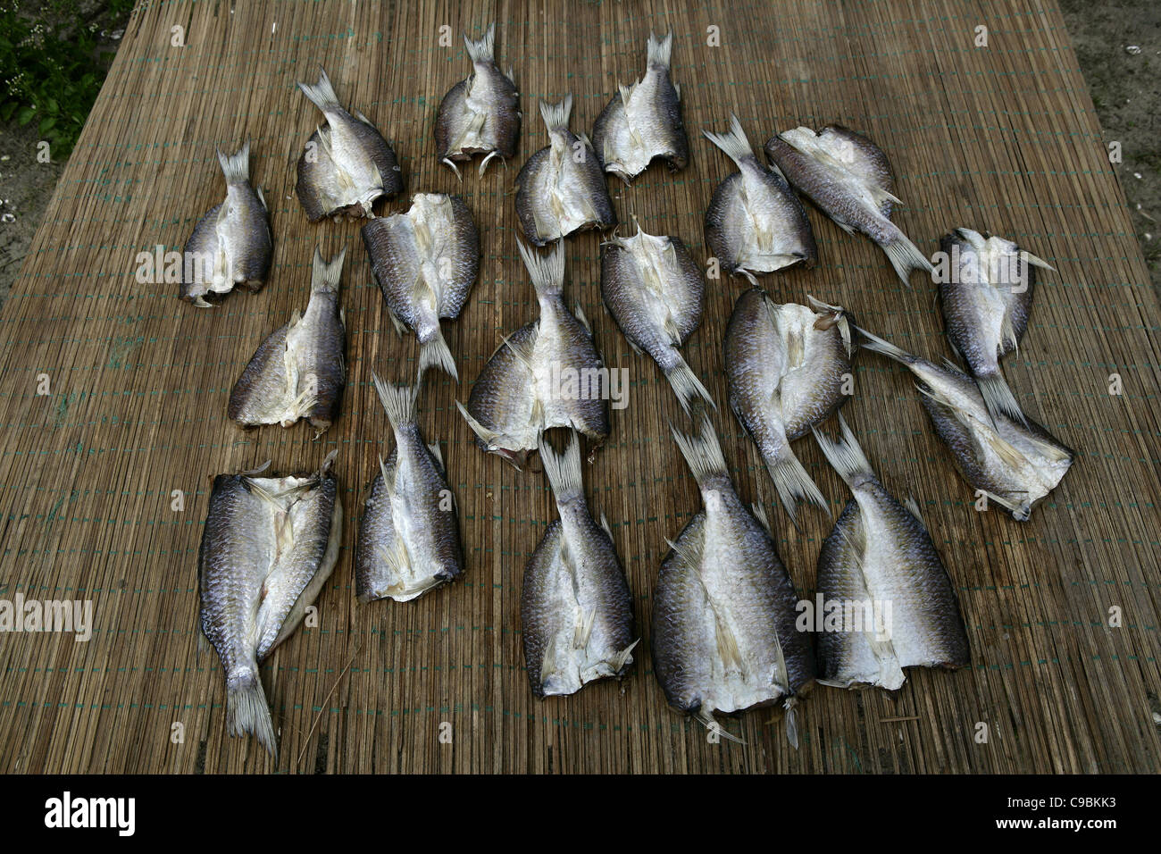 Africa, Guinea-Bissau, Fresh fishes kept on mat Stock Photo - Alamy