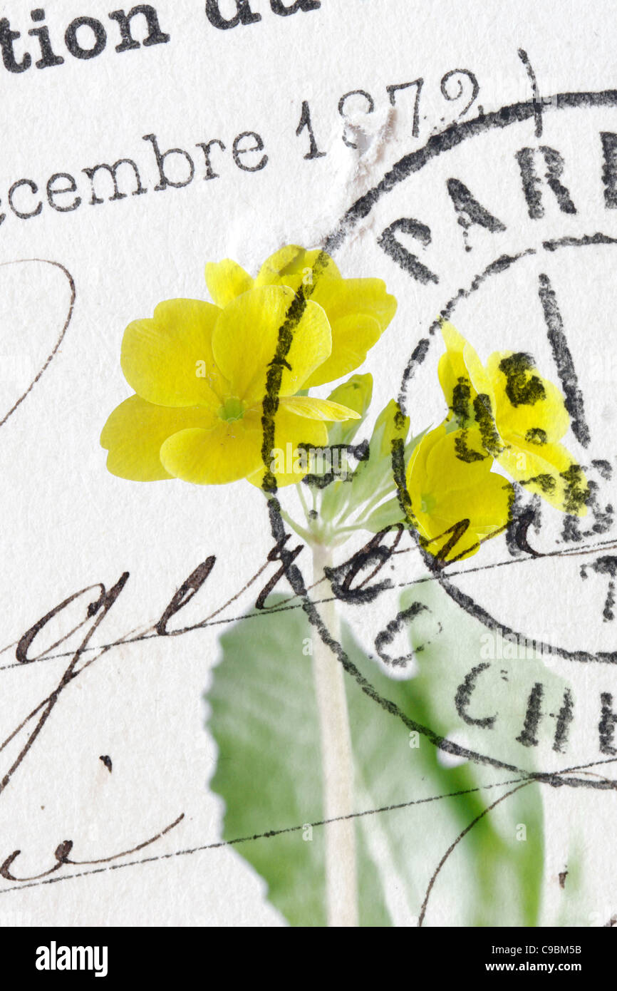 Postmark hi-res stock photography and images - Alamy