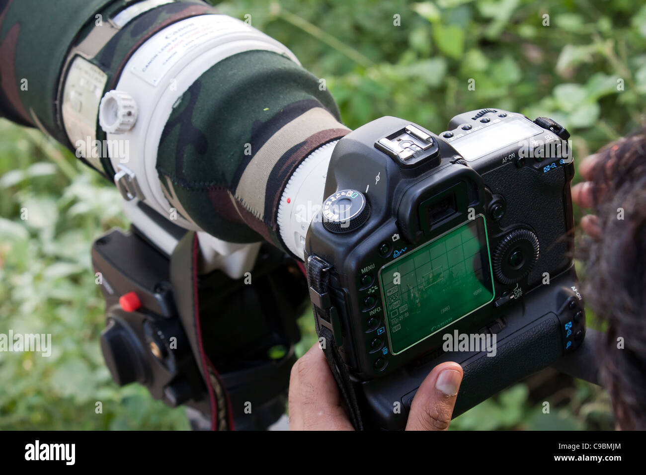 Telephoto shooting hi-res stock photography and images - Alamy