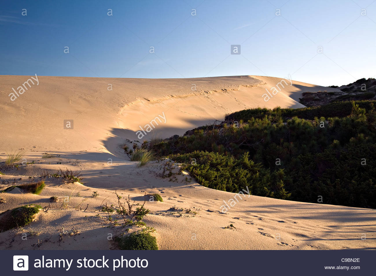 Parabolic Dune High Resolution Stock Photography and Images - Alamy