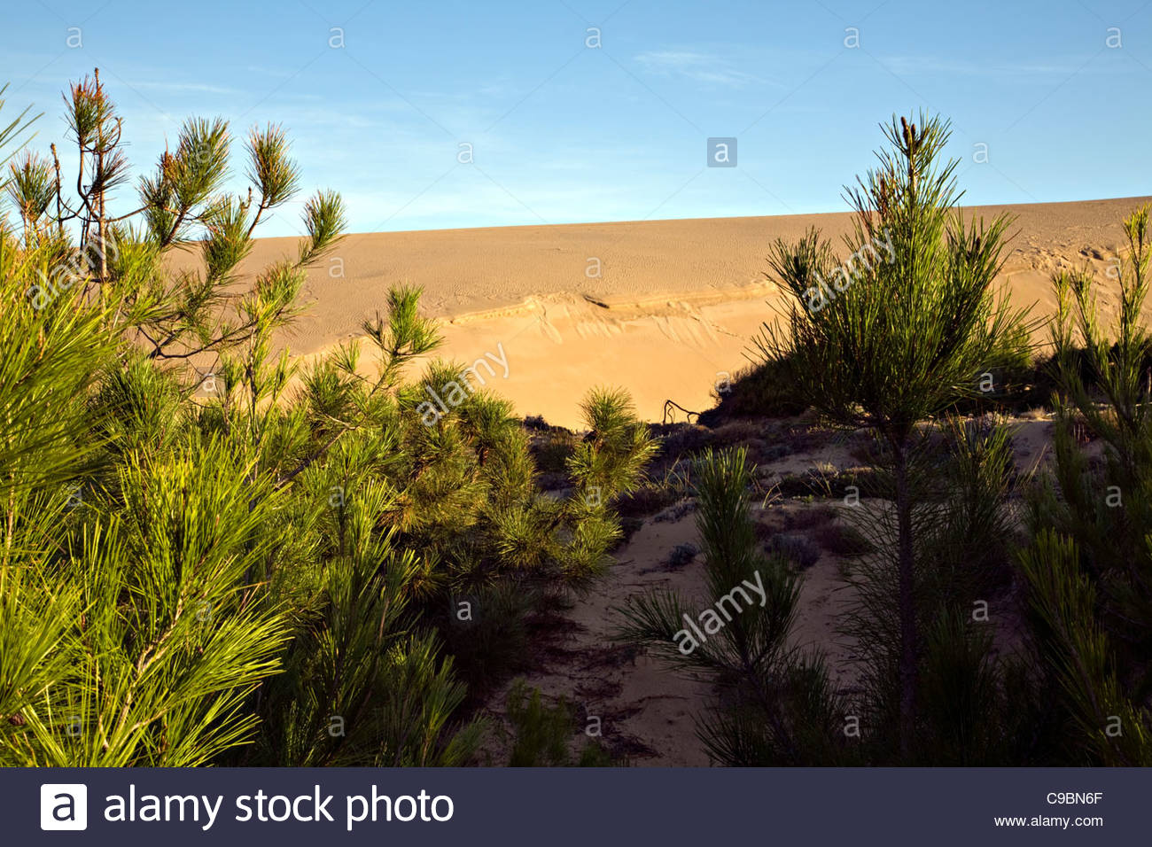 Parabolic Dune High Resolution Stock Photography and Images - Alamy