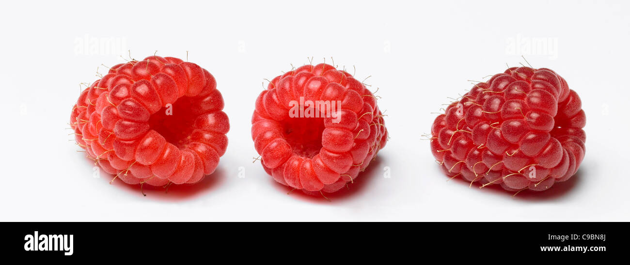 Raspberries in row on white background Stock Photo - Alamy