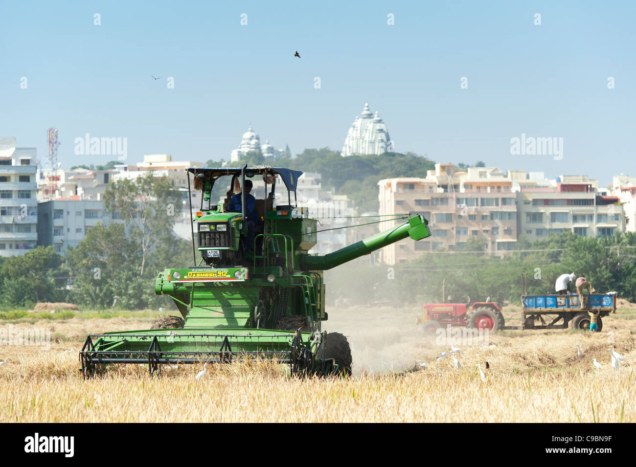 Indian combine harvester harvesting rice crop. Puttaparthi, Andhra ...