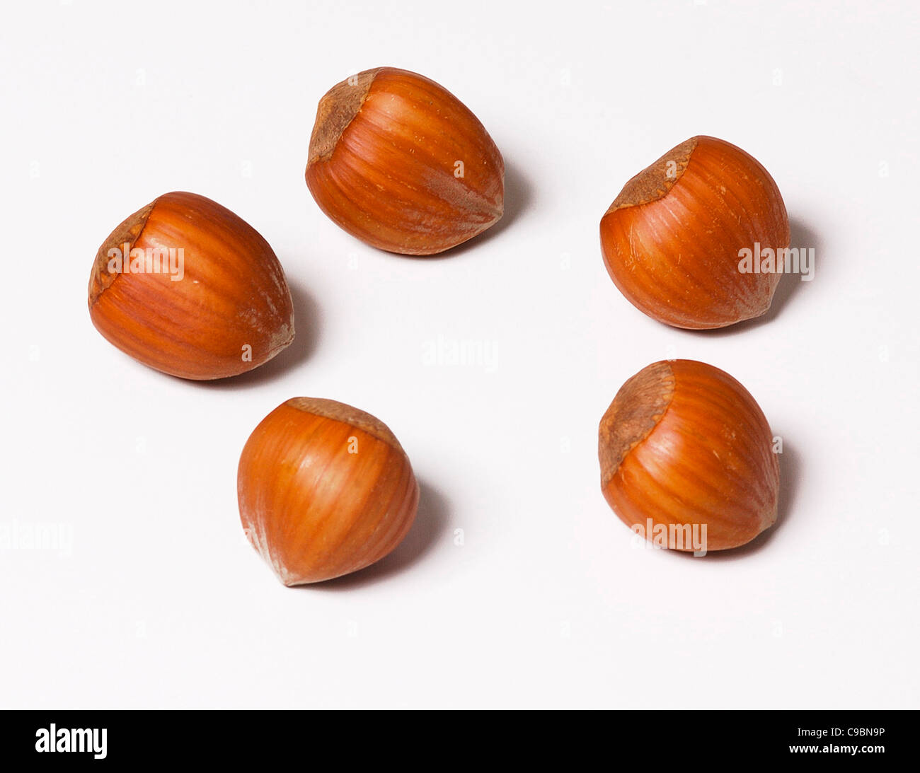 Hazelnuts on white background Stock Photo - Alamy