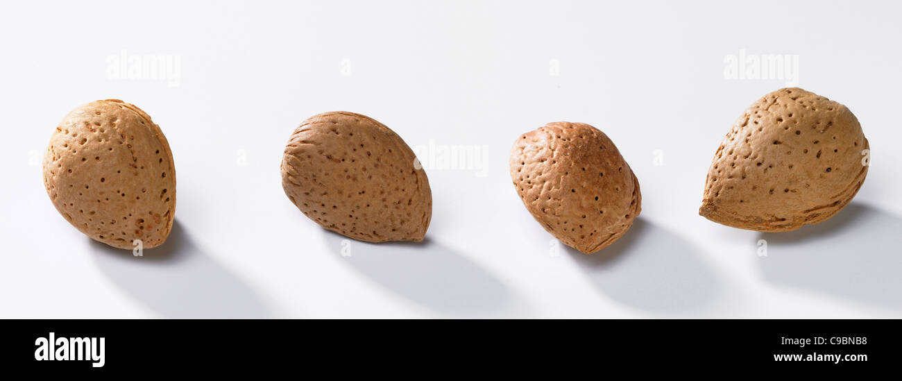 Almonds in row on white background Stock Photo - Alamy