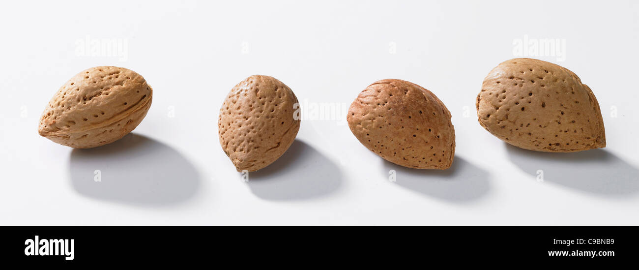 Almonds in row on white background Stock Photo - Alamy