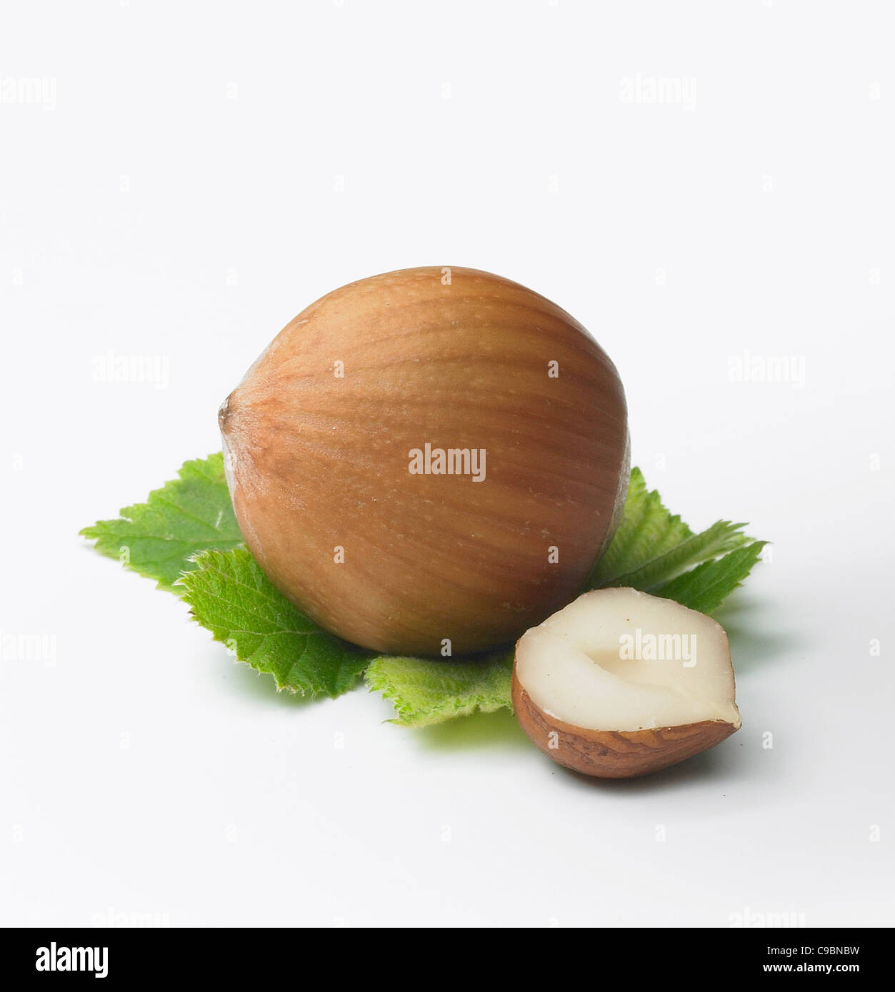 Hazelnuts on white background Stock Photo - Alamy
