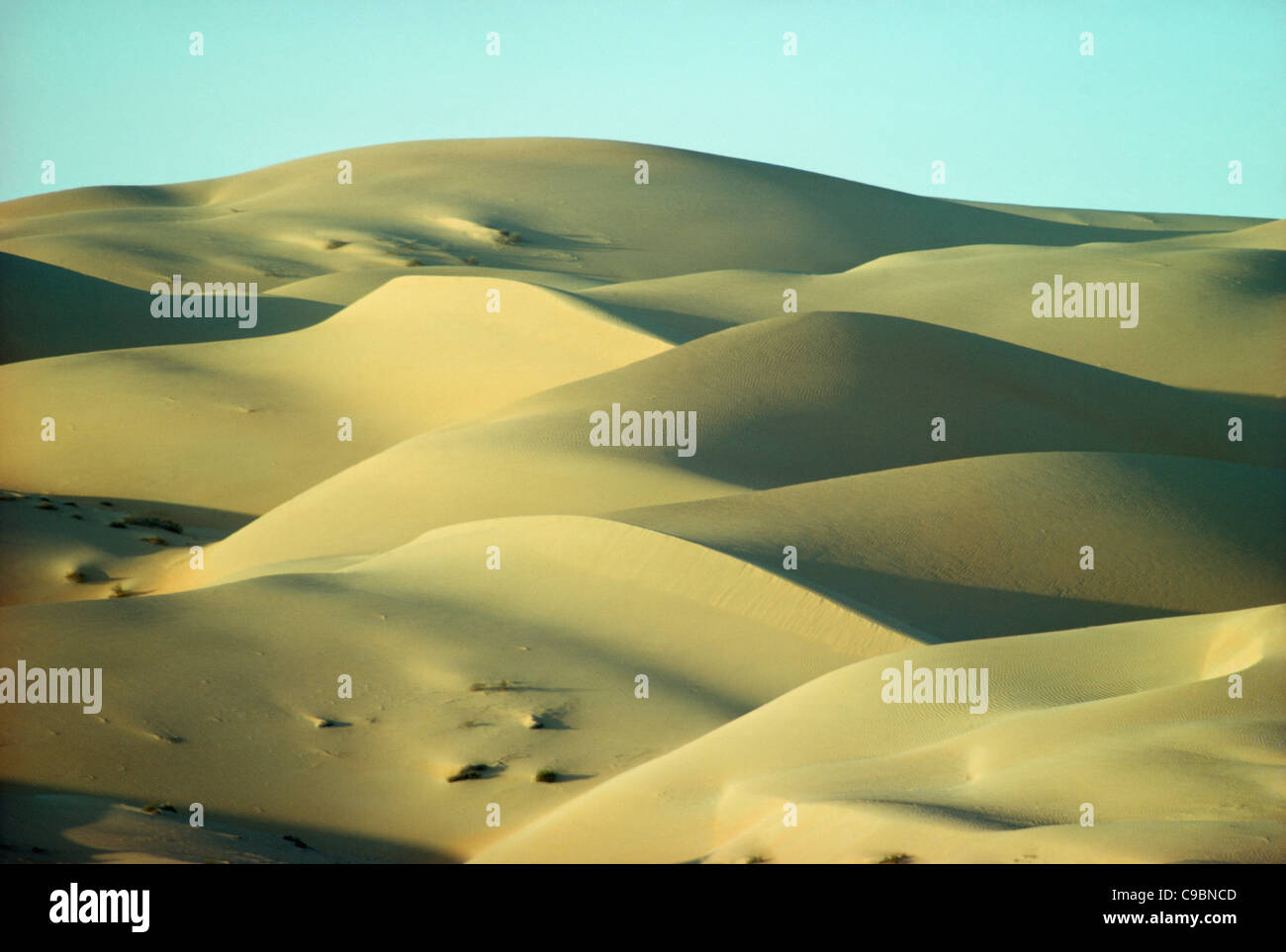Saudia arabia desert hi-res stock photography and images - Alamy