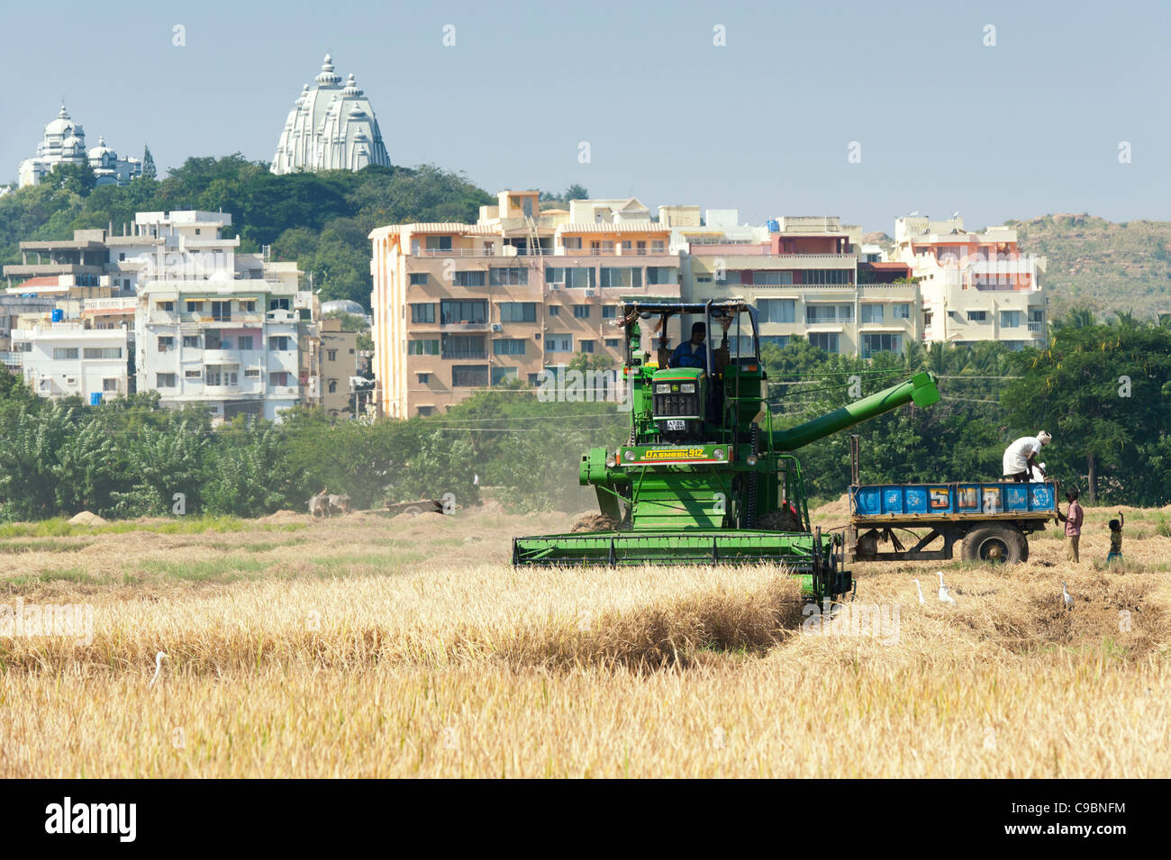 Combining crop hi-res stock photography and images - Alamy