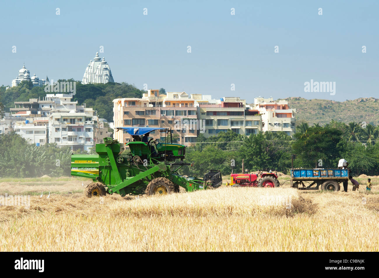 Combining crop hi-res stock photography and images - Alamy