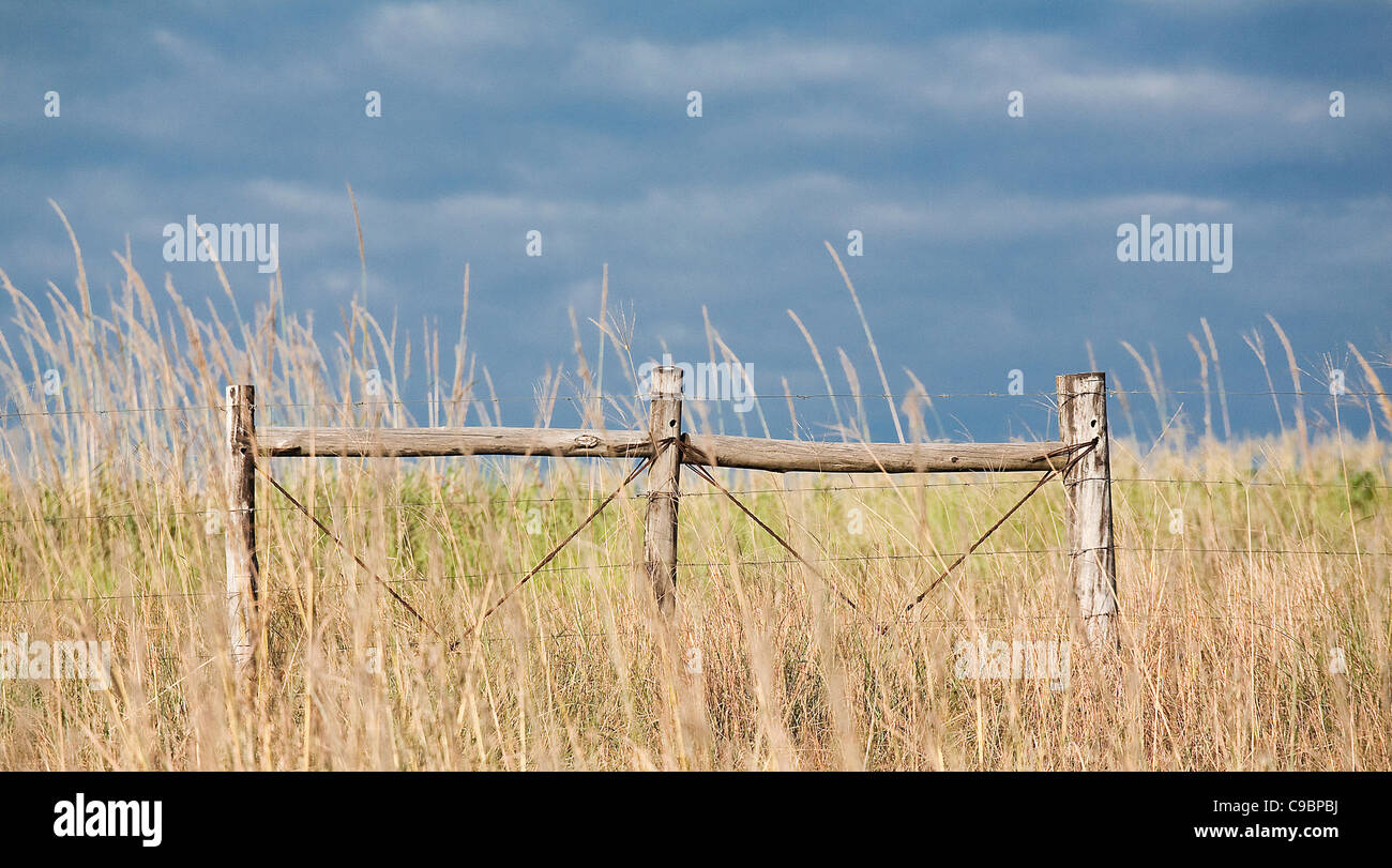 Wood poles fence africa hi-res stock photography and images - Alamy