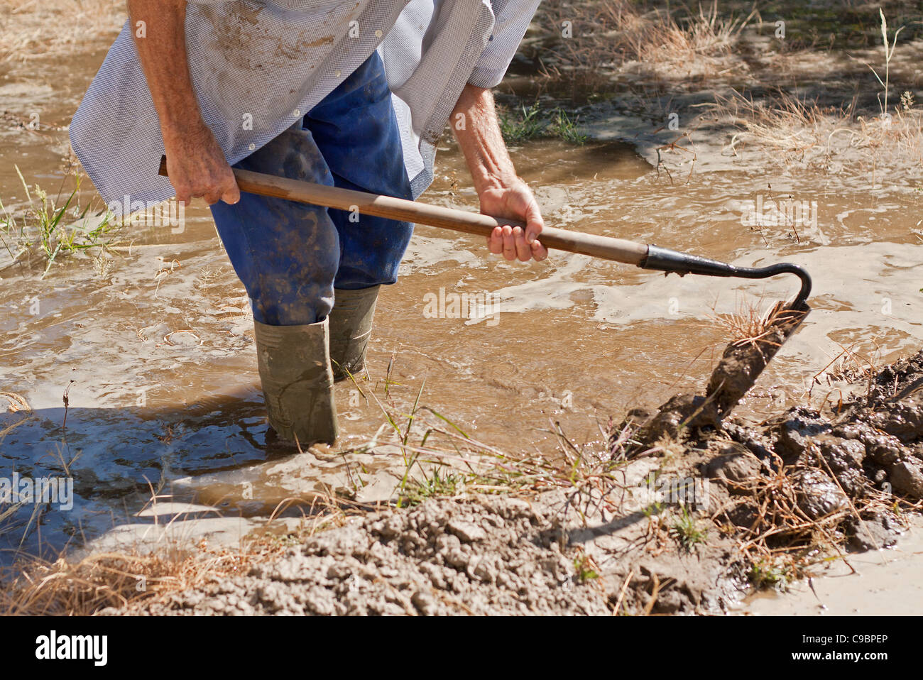 Farmer watering fields Stock Photo - Alamy