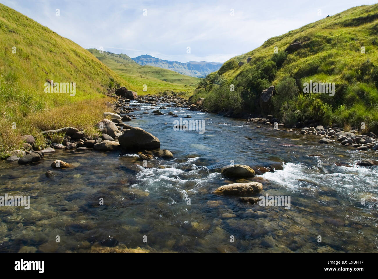The crystal clear Lotheni River flowing through Lotheni Nature Reserve ...