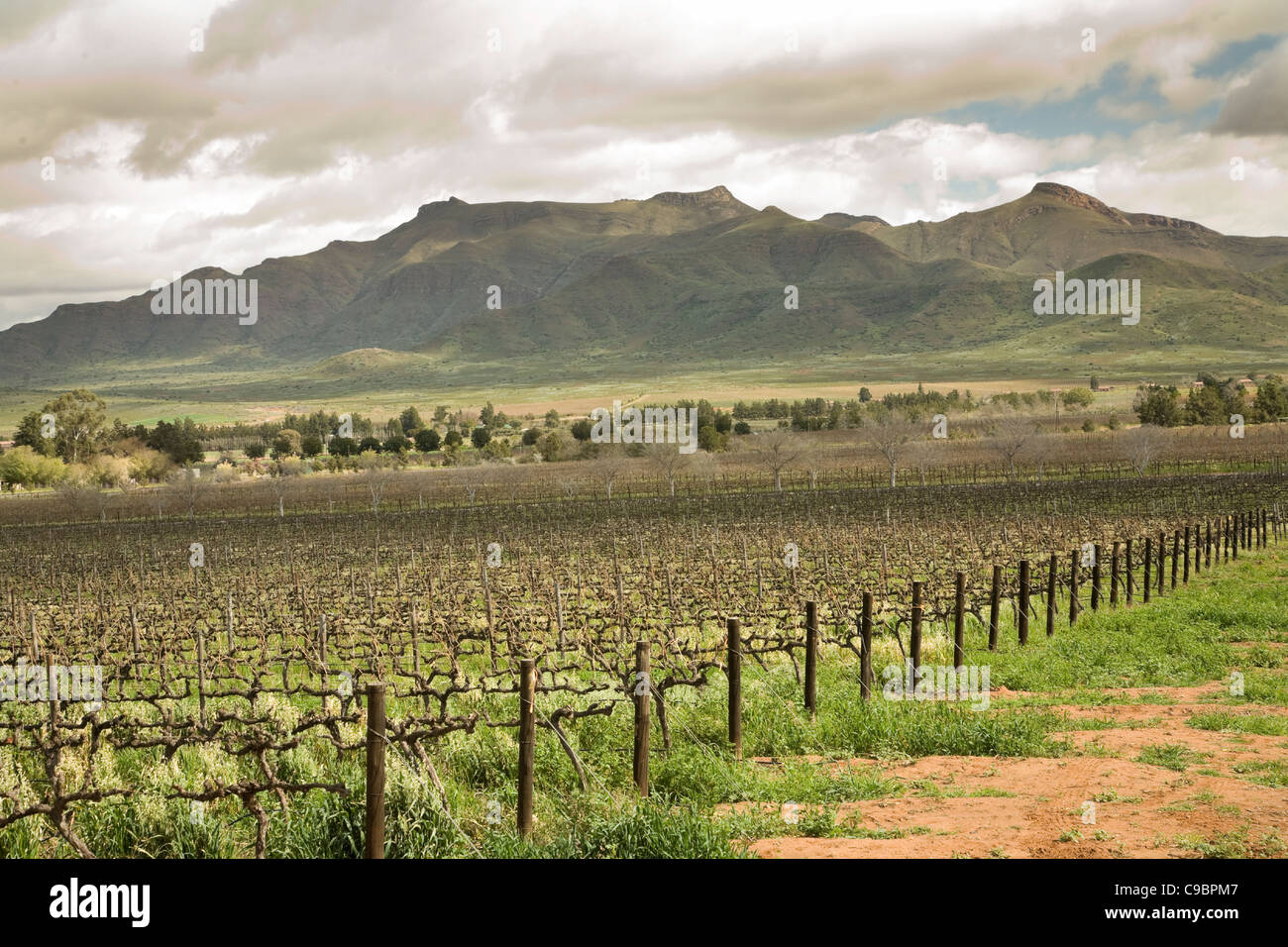 Robertson wine hi-res stock photography and images - Alamy