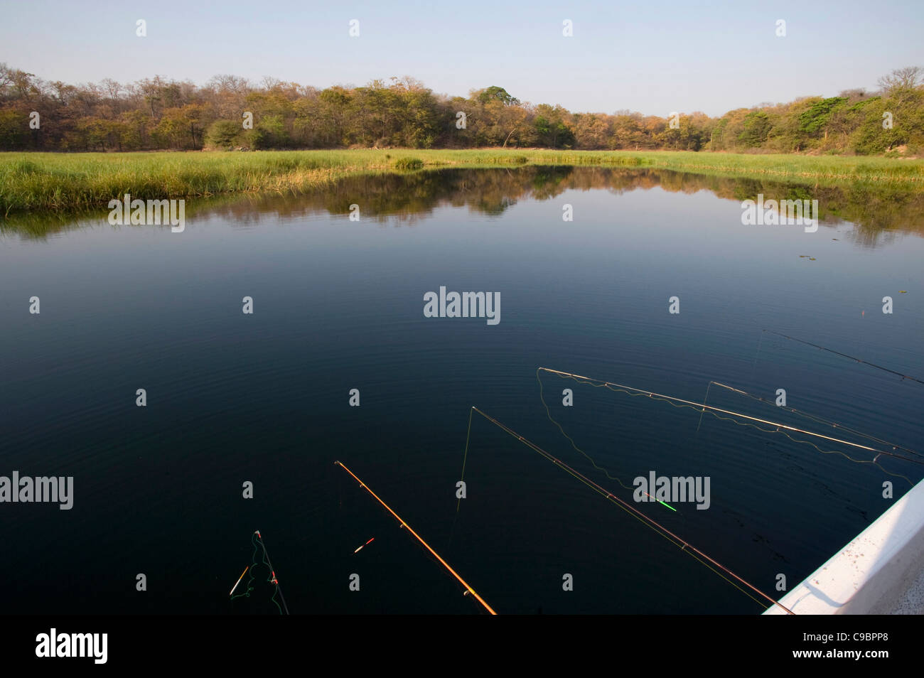 Binga hi-res stock photography and images - Alamy