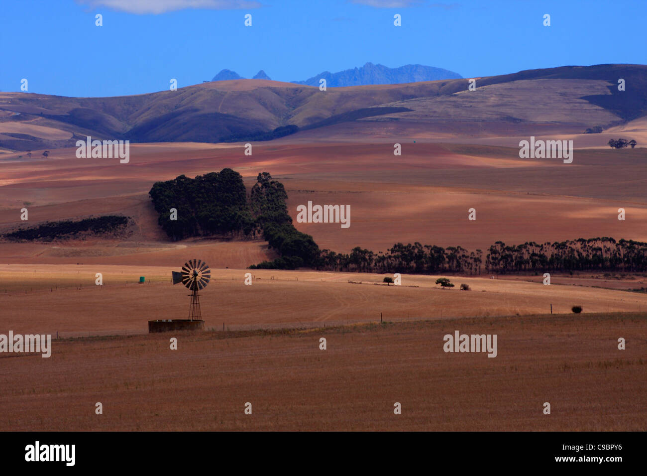 Caledon district hi-res stock photography and images - Alamy