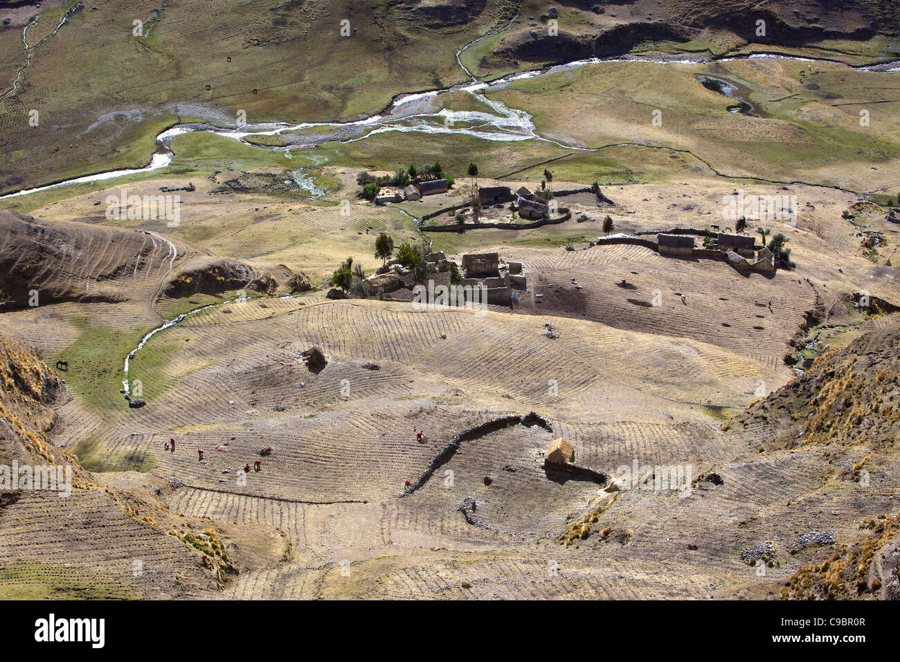 Subsistence crop farmlands near Ollantaytambo, Urubamba Province, Lares ...