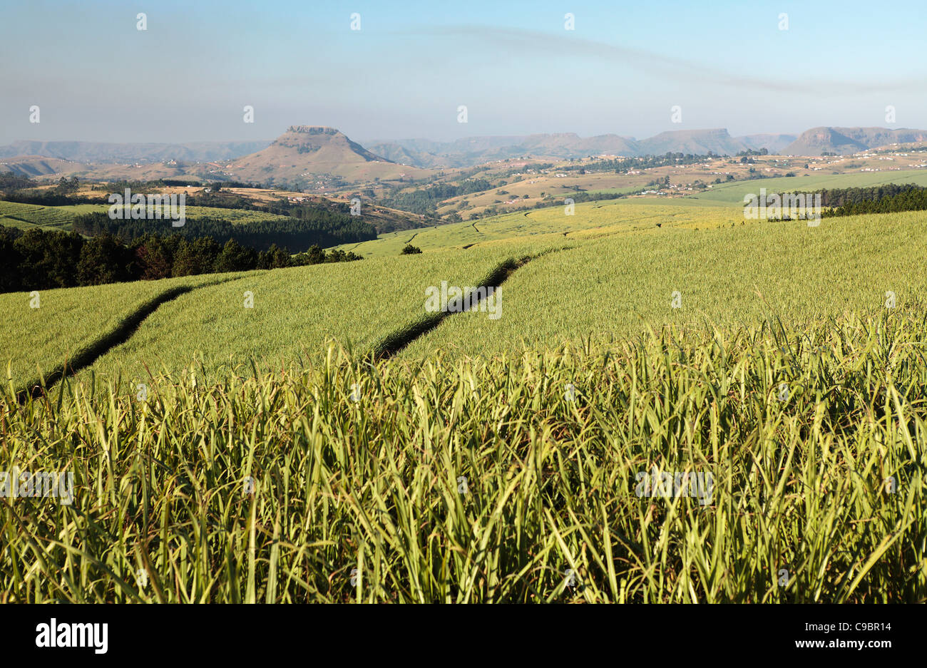Kwa Zulu Natal Province High Resolution Stock Photography and Images ...