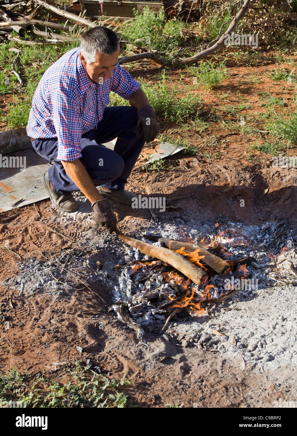 Man cooking Kangaroo Tail Stock Photo - Alamy