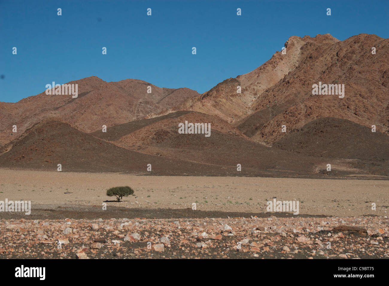Richtersveld northern cape hi-res stock photography and images - Alamy