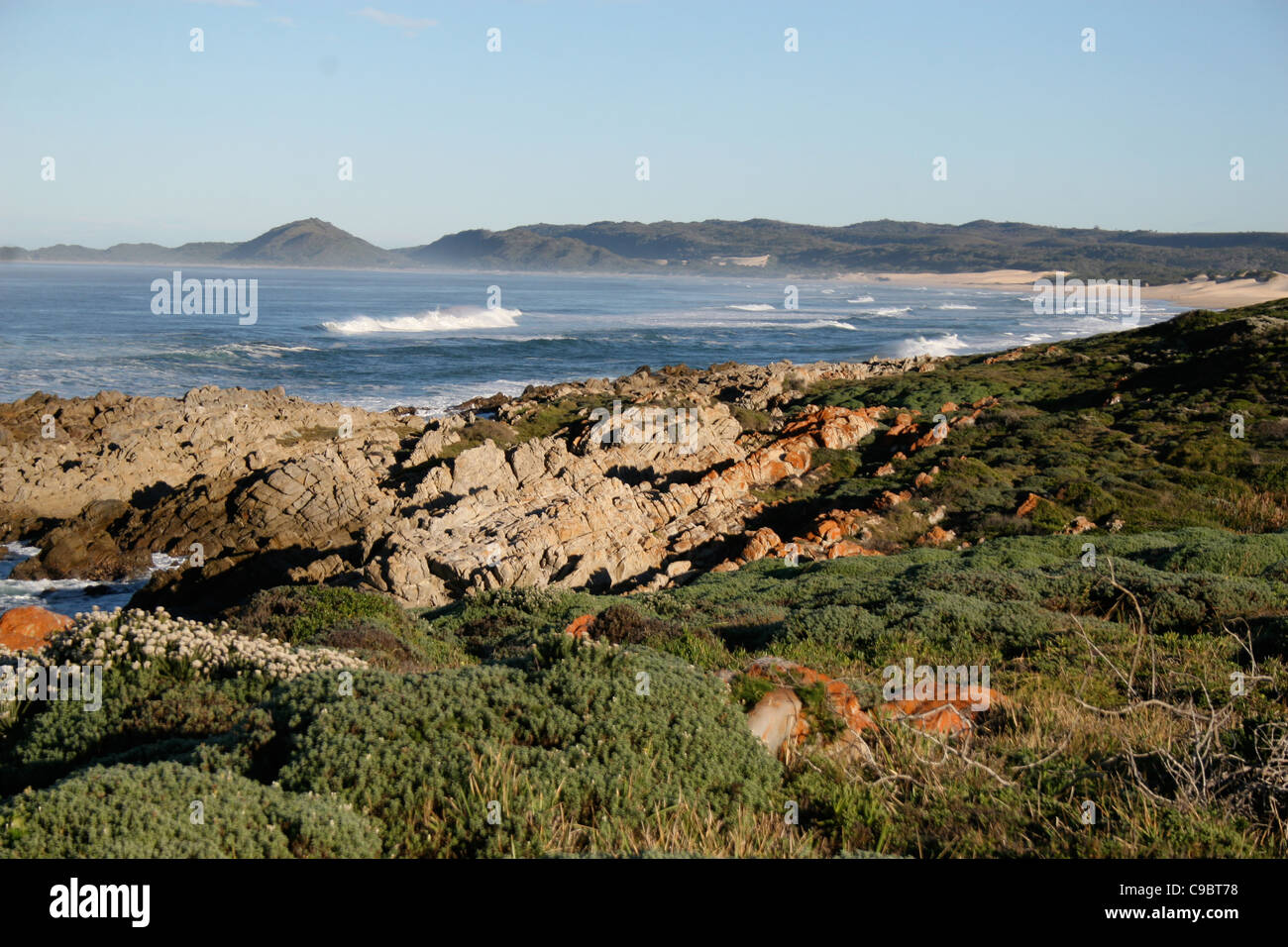 East Coast Eastern Cape South Africa Stock Photo Alamy east-coast-eastern-cape-south-africa-stock-photo-alamy