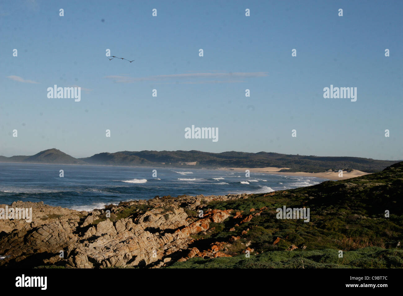 East Coast, Eastern Cape, South Africa Stock Photo - Alamy