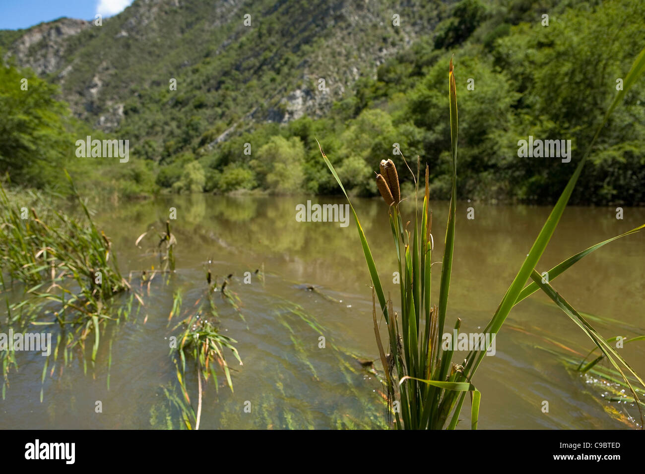 Baviaanskloof river hi-res stock photography and images - Alamy