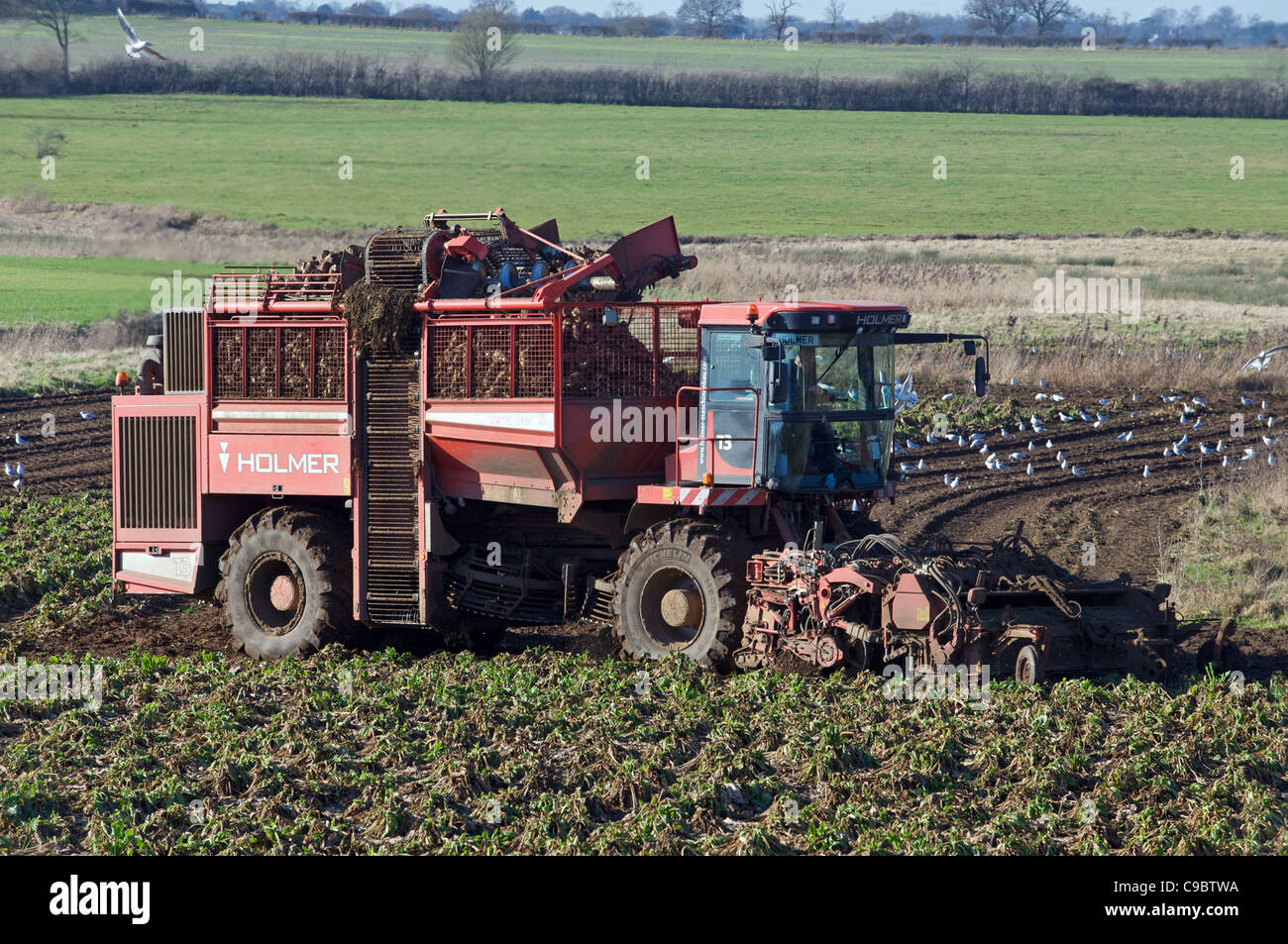 Beet harvester hi-res stock photography and images - Alamy