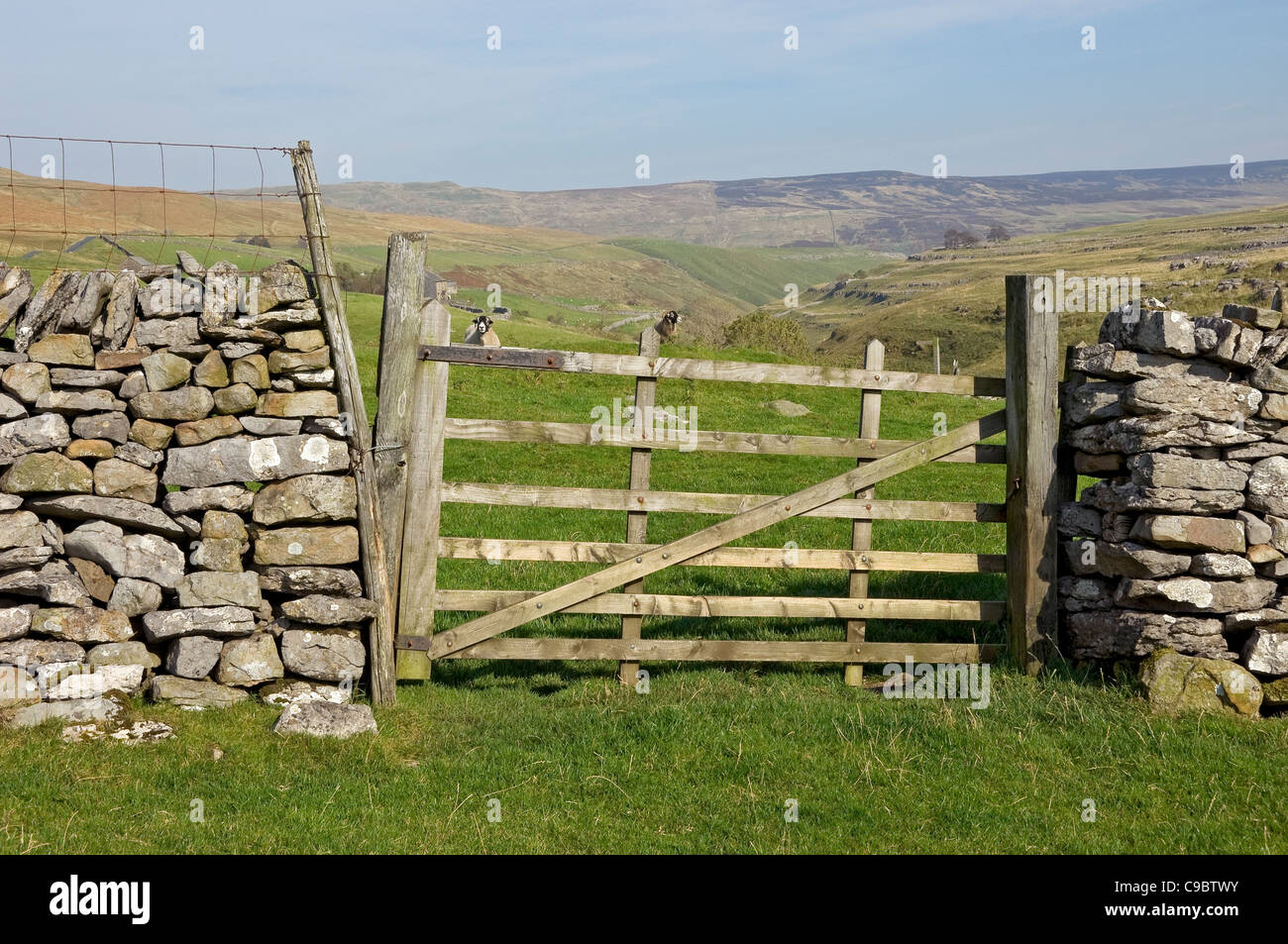 Close up of wooden gate in drystone stone wall Yorkshire Dales National ...