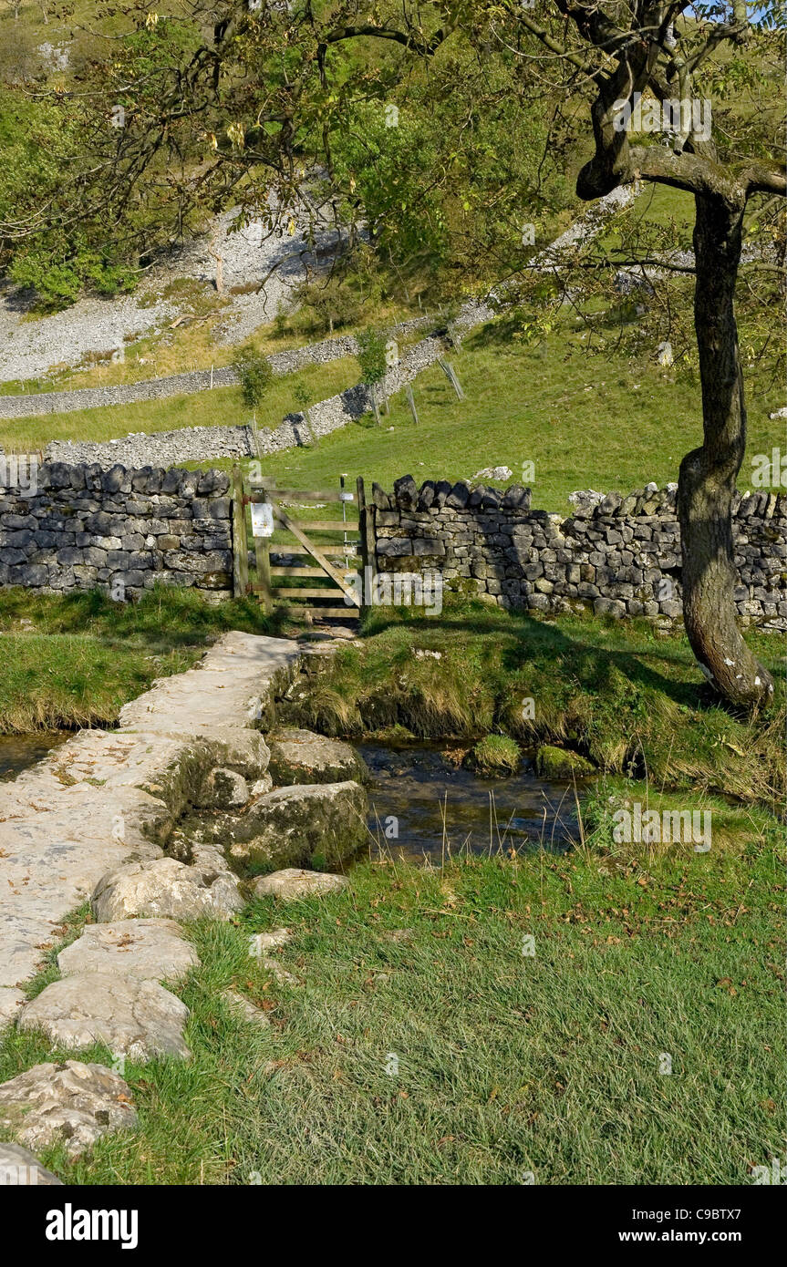 Clapper bridge across Malham Beck at Malham Cove in autumn Malhamdale ...