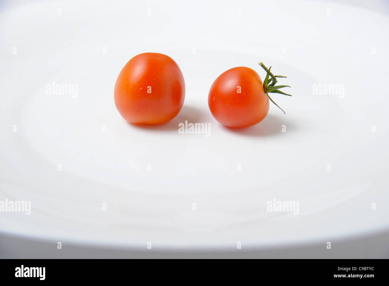 Knockout tomatoes hi-res stock photography and images - Alamy
