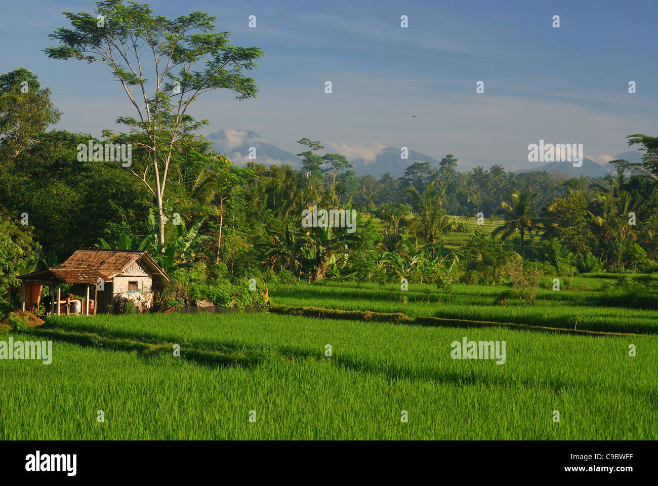Volcanoes in bali hi-res stock photography and images - Alamy
