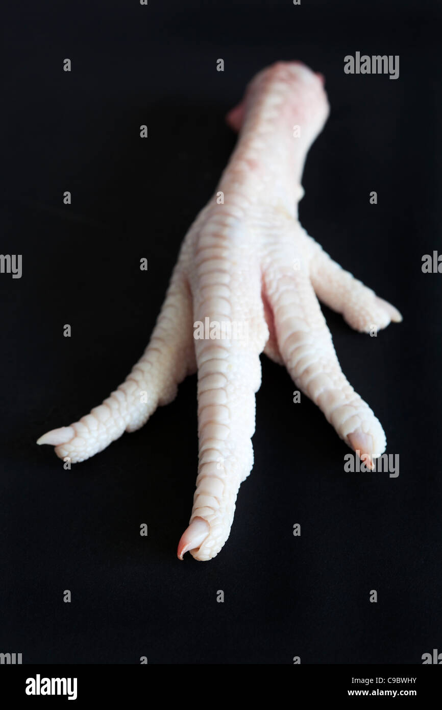 Raw Chickens Feet Stock Photo - Alamy