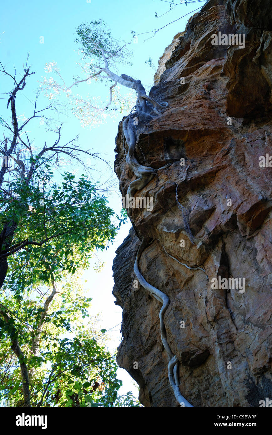 Sp nt hi-res stock photography and images - Alamy