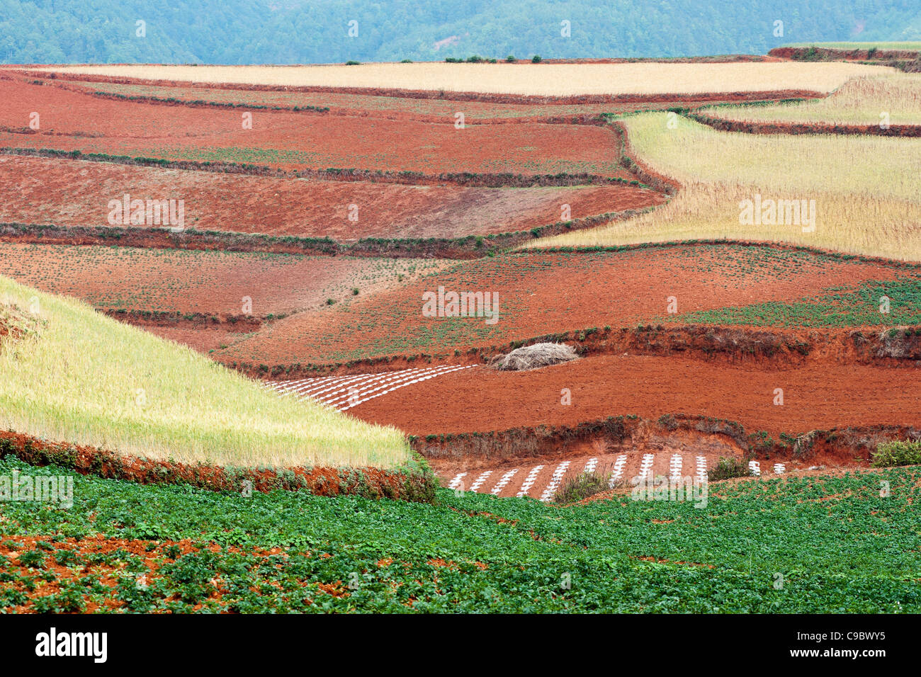 Southwest of china hi-res stock photography and images - Alamy