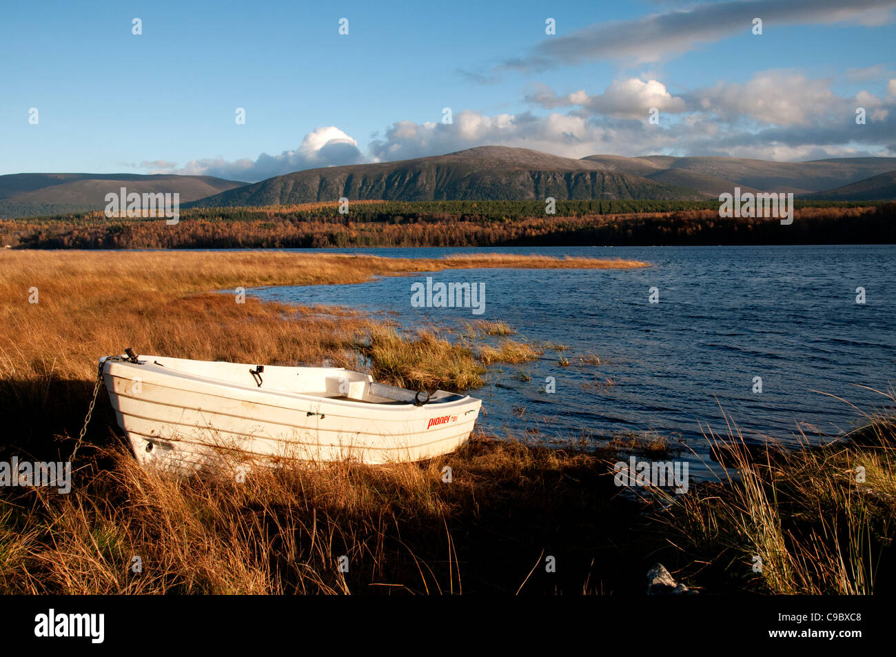 loch insh in afternoon light with boat in foreground Stock Photo - Alamy