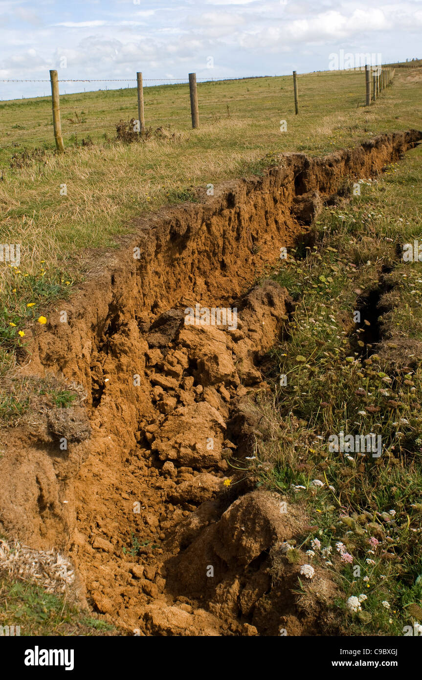 Soil cliff hi-res stock photography and images - Alamy