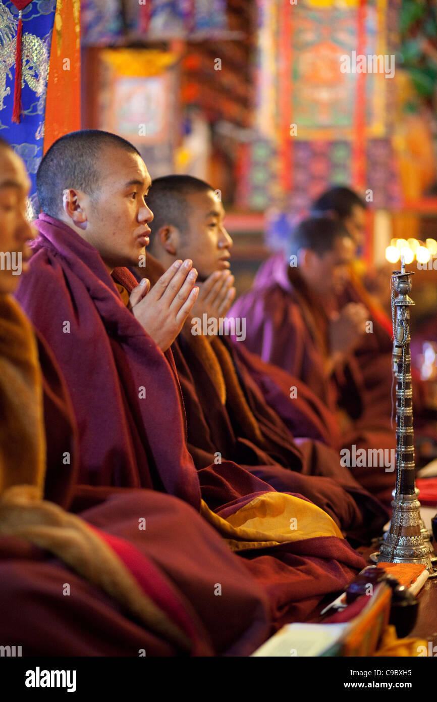 Tengboche Monastery , Nepal - Buddhist Monks praying Stock Photo - Alamy