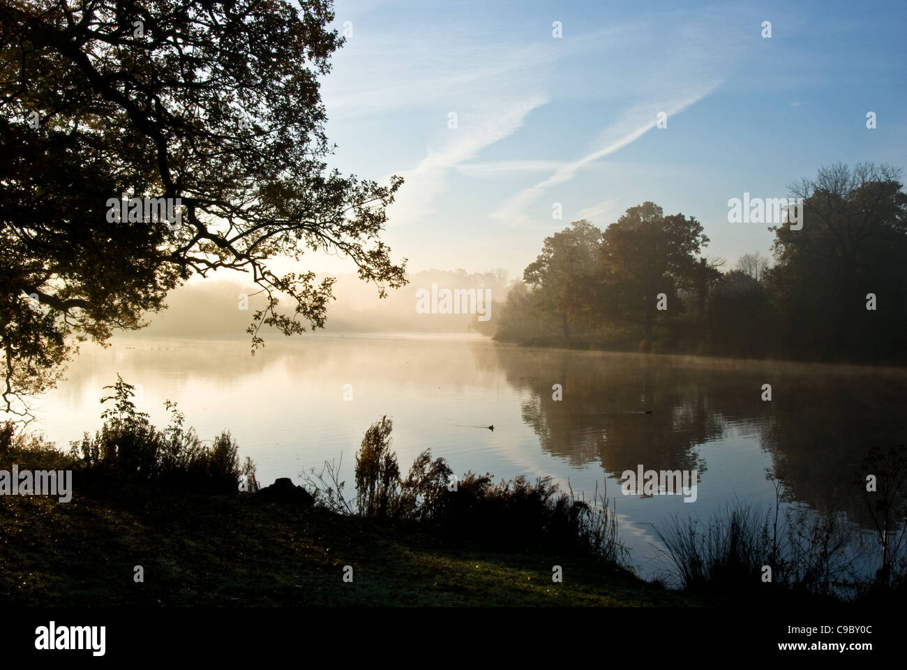 Early morning on the lake Stock Photo - Alamy