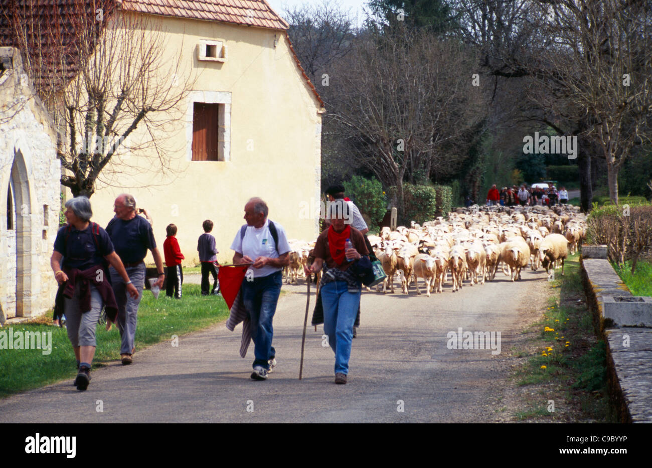 Transhumance flocks hi-res stock photography and images - Alamy