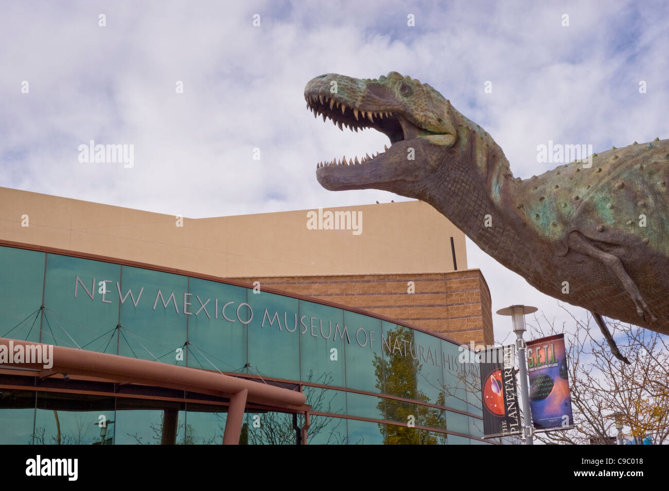Tyrannosaurus Rex looms above the New Mexico Museum of Natural History ...