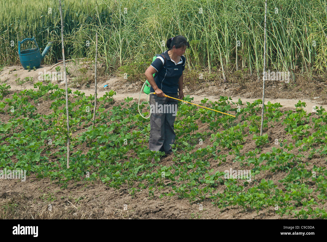 Qidong china hi-res stock photography and images - Alamy
