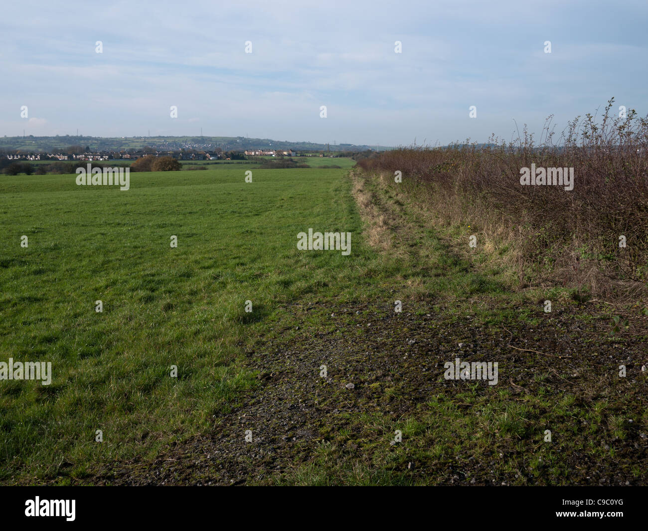 Field of mud hi-res stock photography and images - Alamy