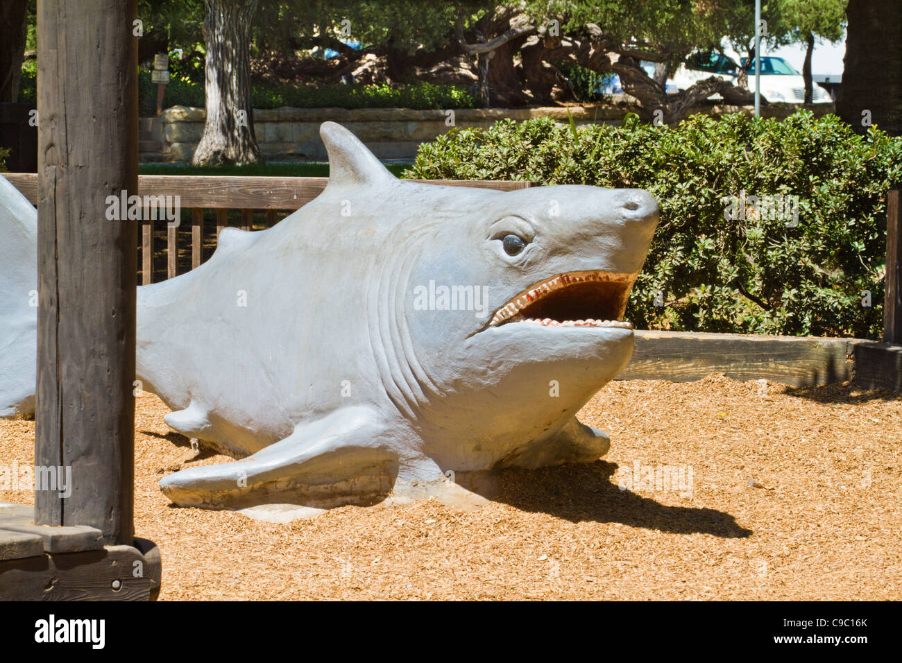 Shark in playground hi-res stock photography and images - Alamy