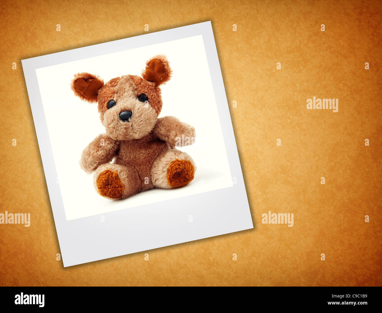 Cute little teddy bear in a picture frame Stock Photo - Alamy