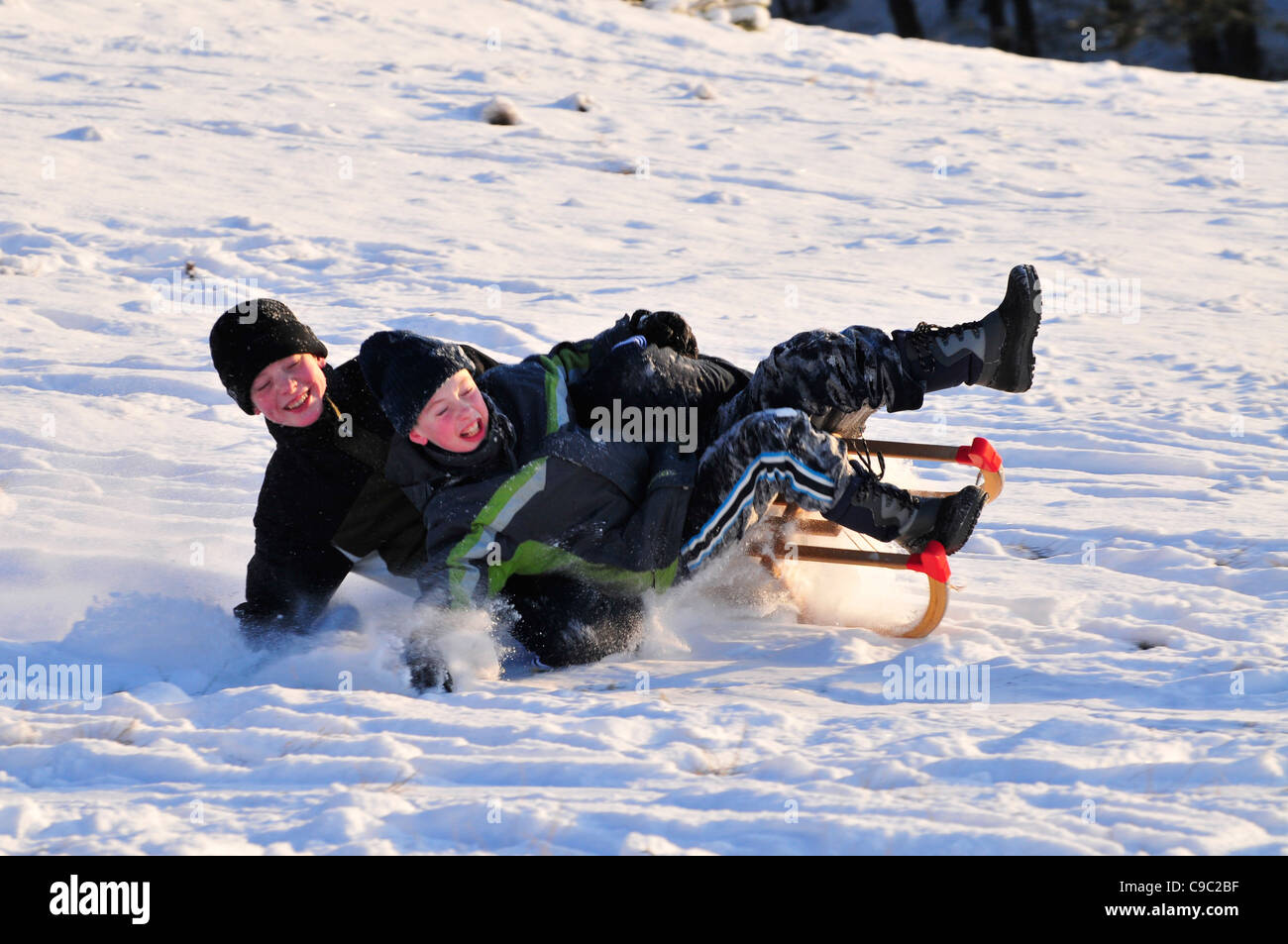Two boys gliding fast off a hill with a sleigh and falling in the snow ...