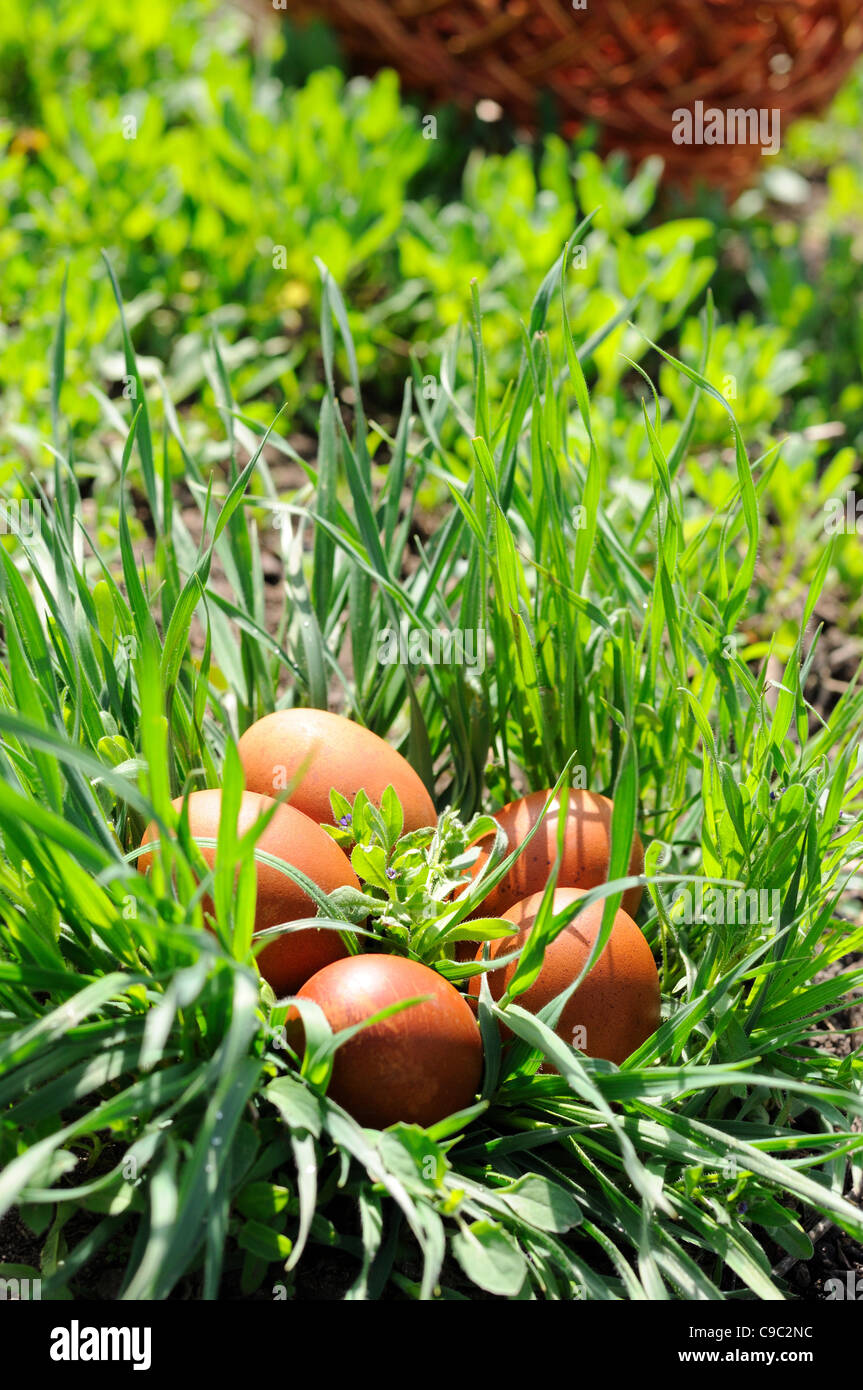 Easter eggs and basket in the grass Stock Photo - Alamy