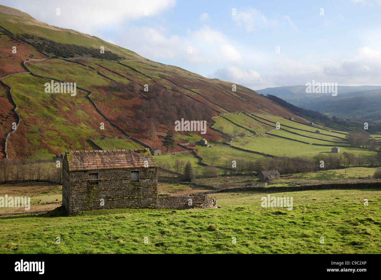 Stony Limestone Barns in the pasture Landscape and Countryside of Muker ...