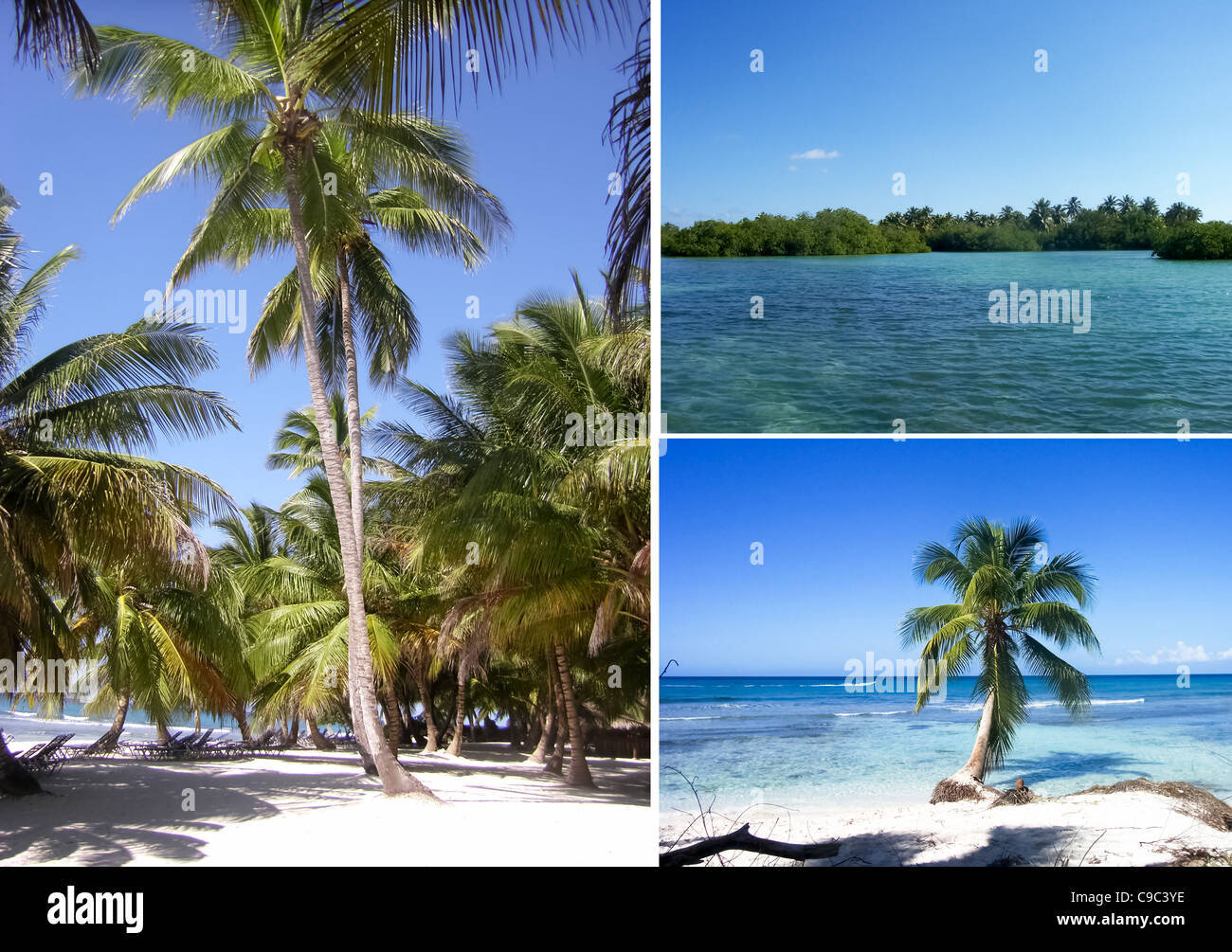 Dominican republic green hi-res stock photography and images - Alamy