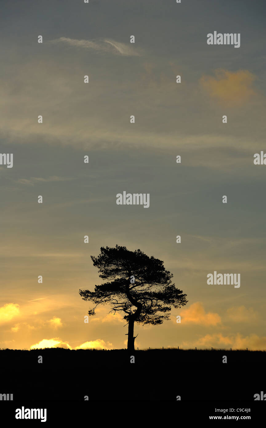 Longridge fell hi-res stock photography and images - Alamy